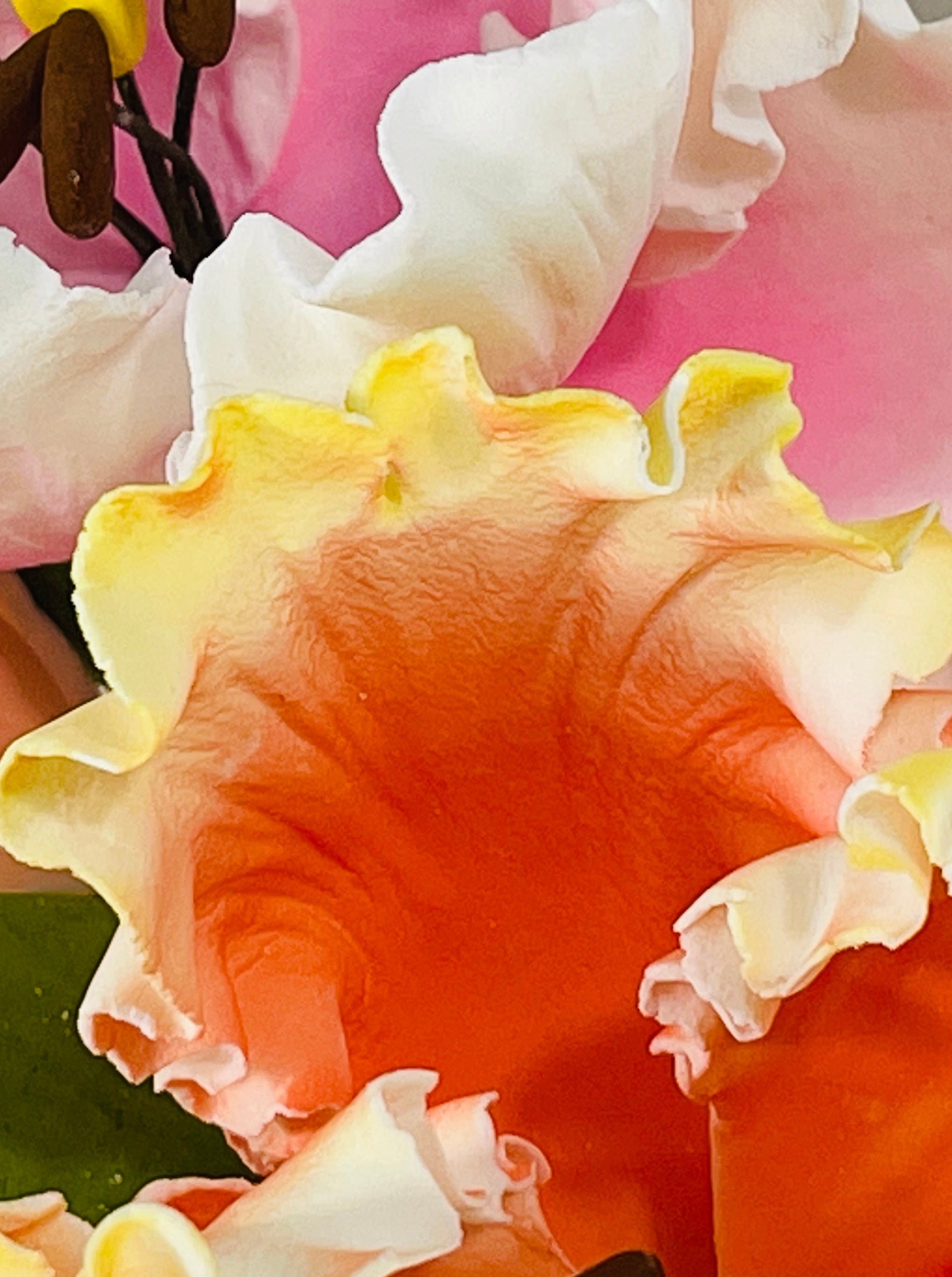 Dutch Status | Colorful Tulip Sugar Flower Cake Topper – Cake Muse®